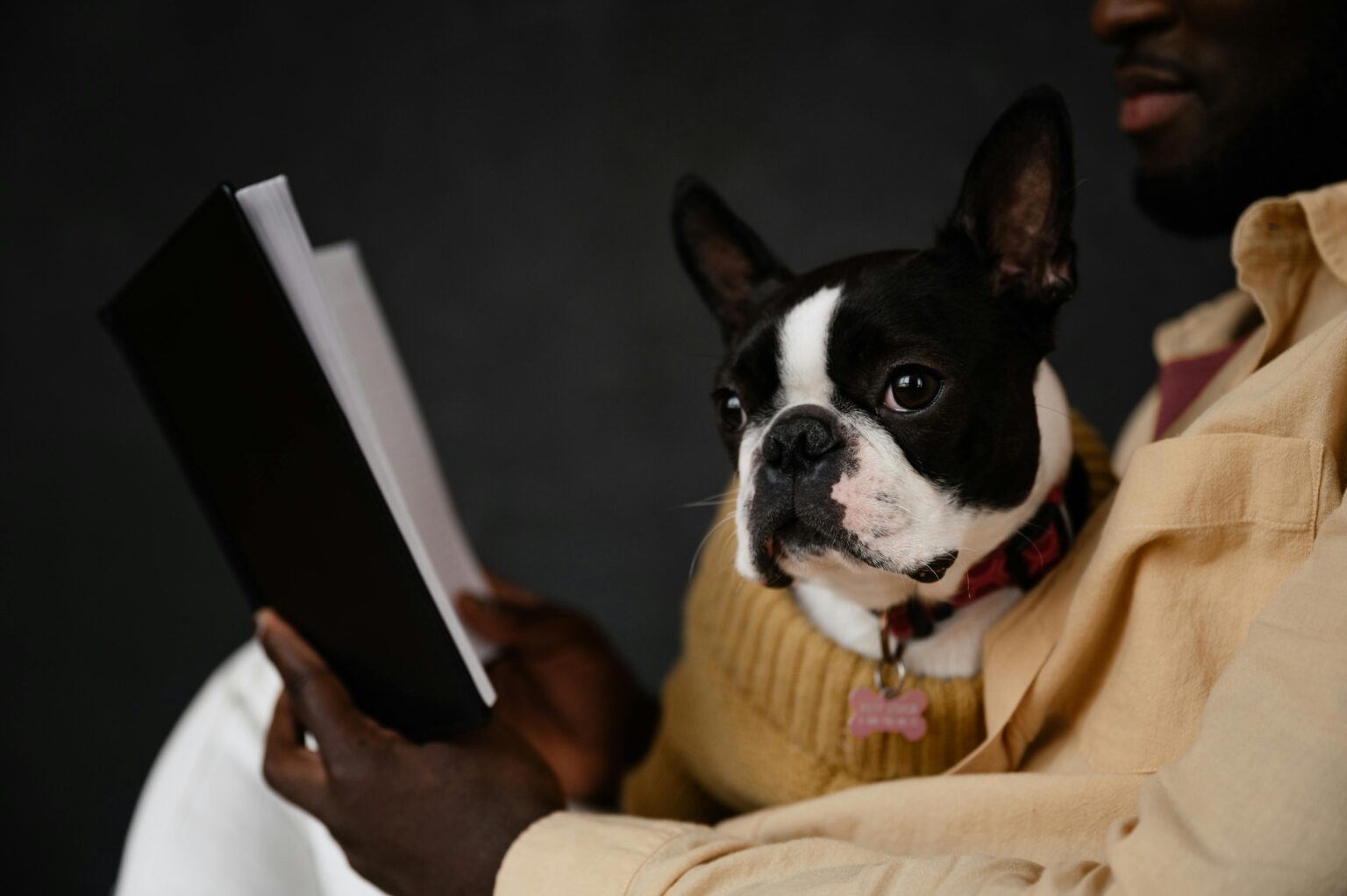 Animal Behavior Professionals